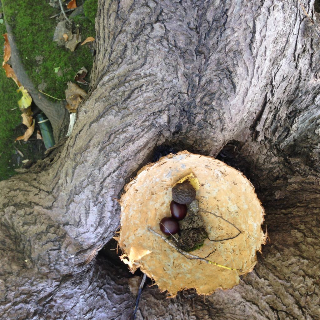 Botanical Facts and Fictions – Mn Artists