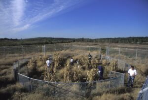 What Can't Be Buried: Unearthing Revival Field – Mn Artists