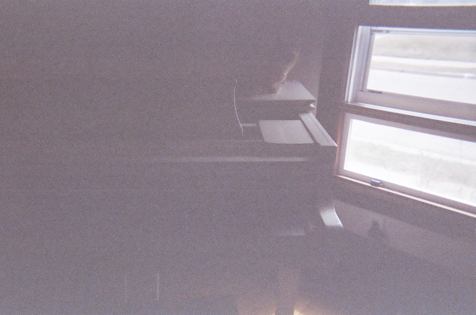 The Secret Life of Christopher Koza – Mn Artists