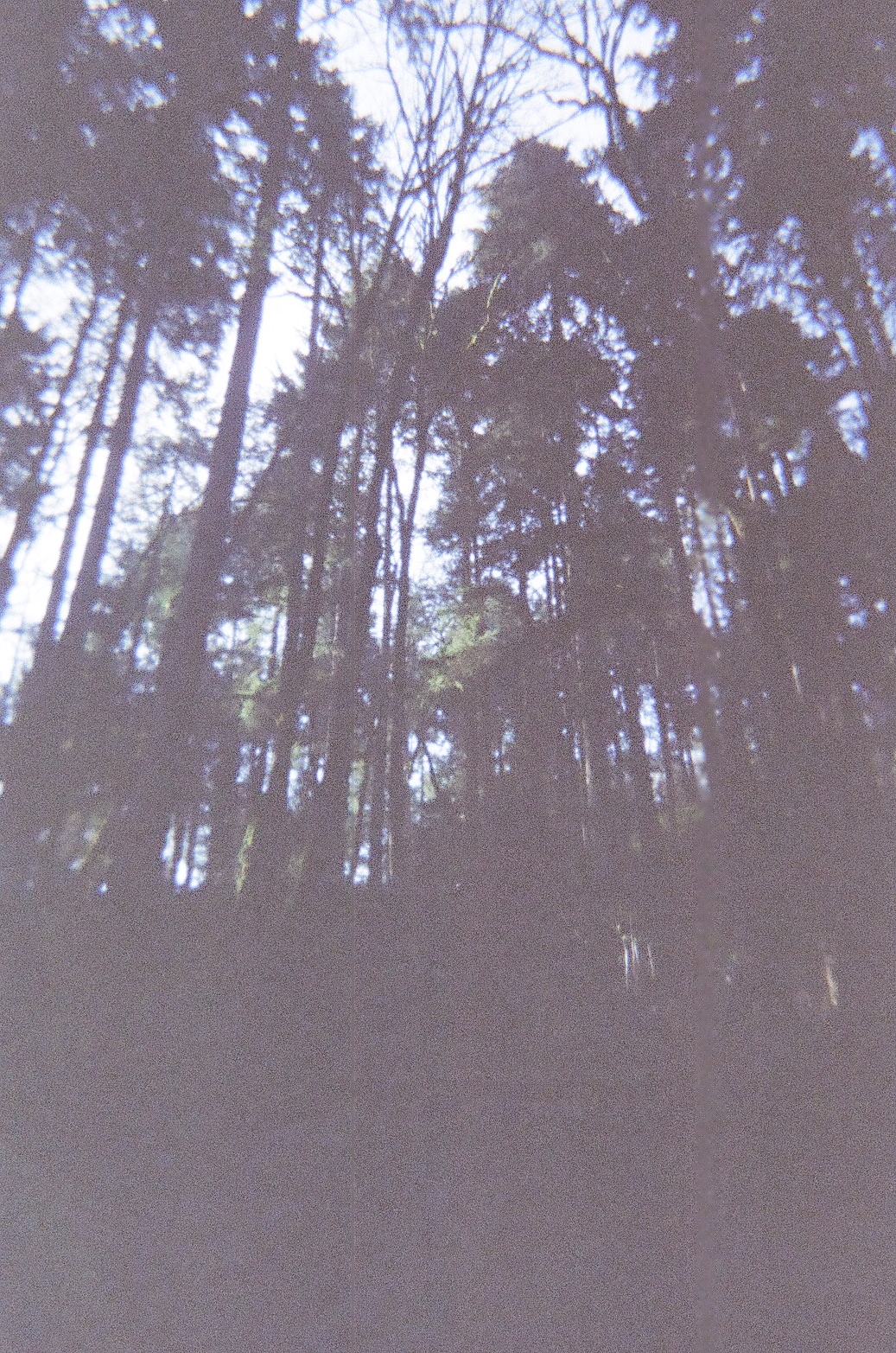 The Secret Life of Christopher Koza – Mn Artists