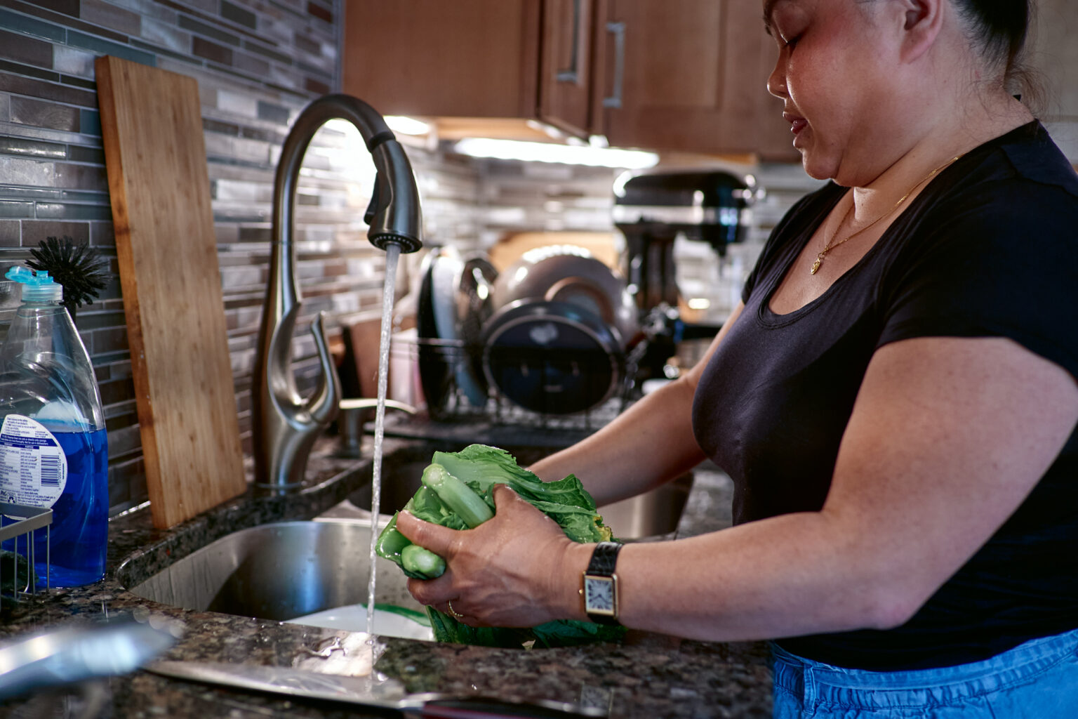 Boiled Pork, Hmong Greens, and Persistence – Mn Artists