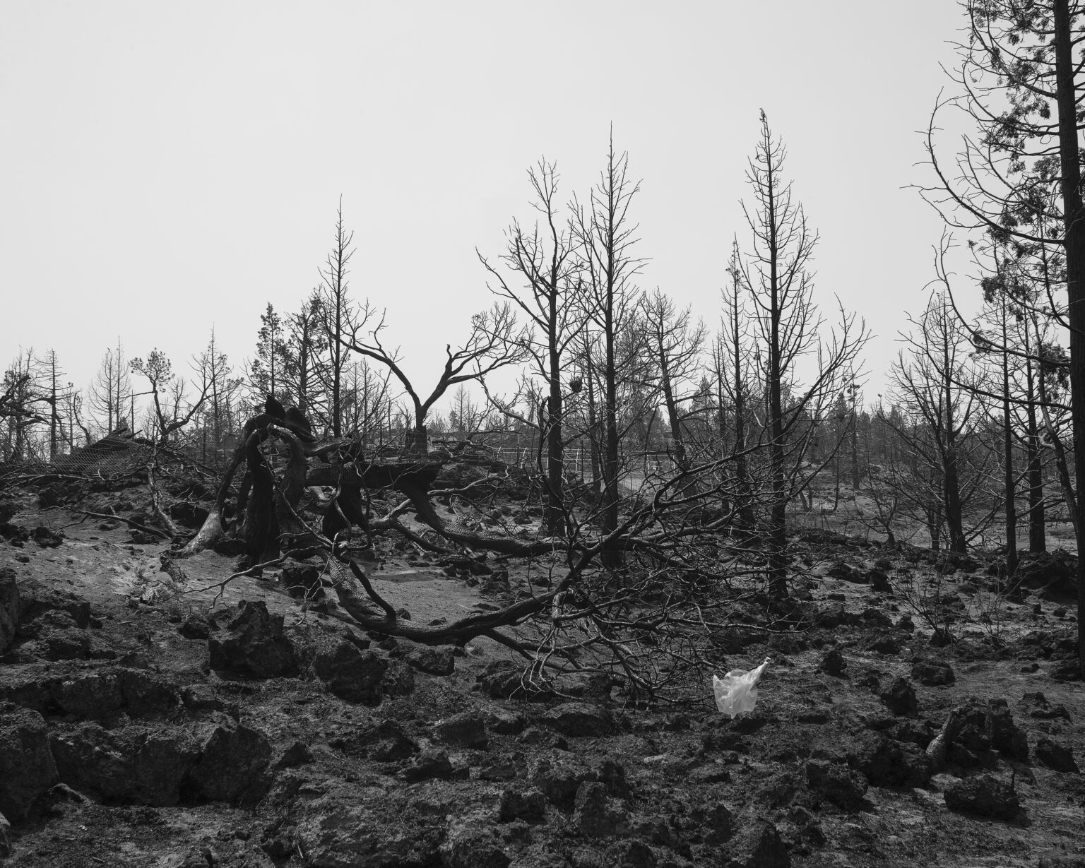 Mn Artists | Arts Writing from Mn, Beyond Mn