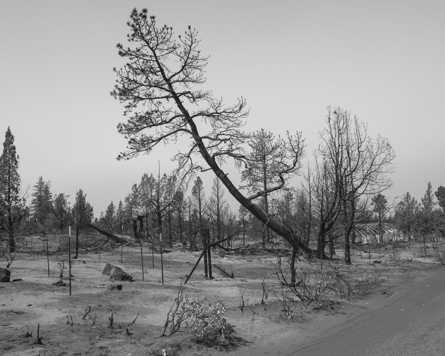 Mn Artists | Arts Writing from Mn, Beyond Mn