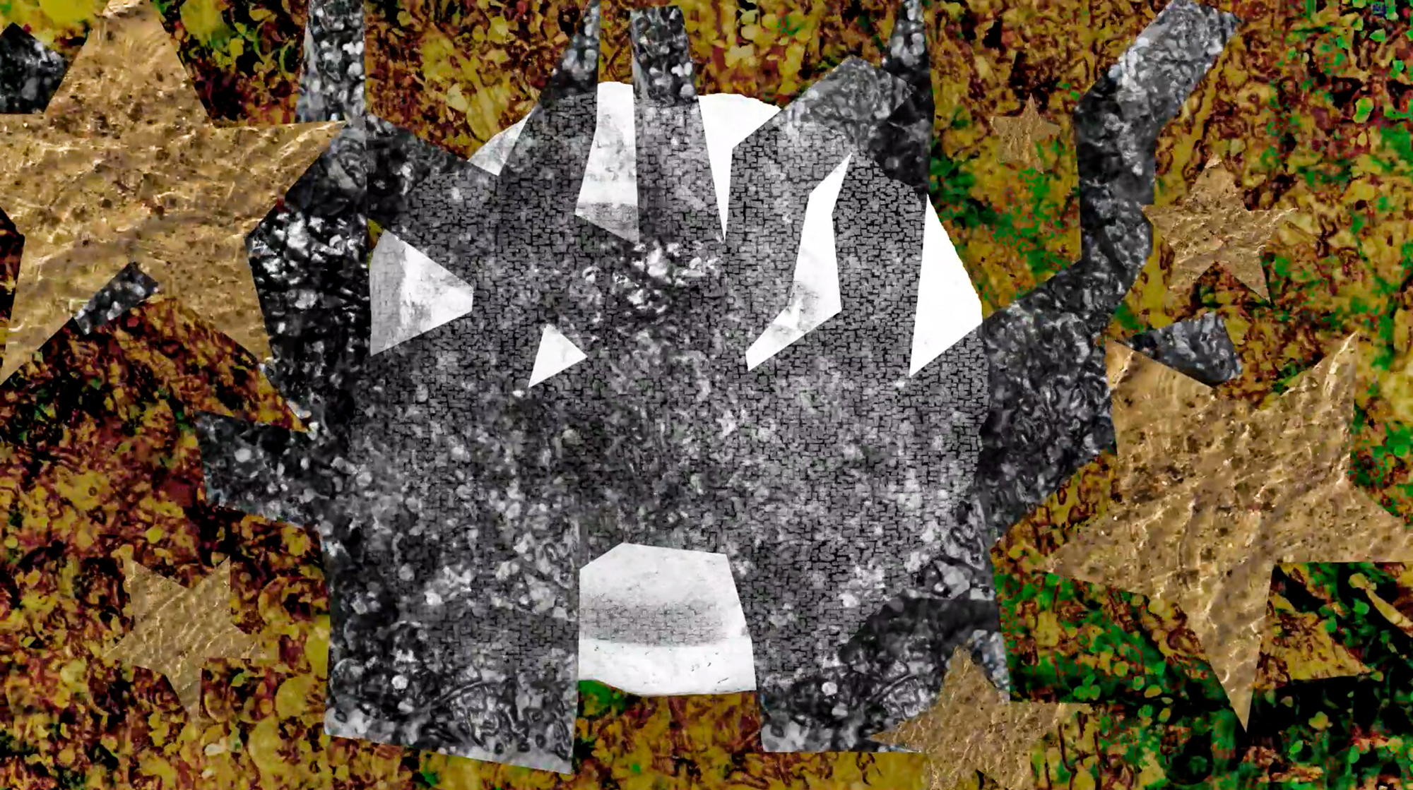 Roshan Ganu: Language and Illusion – Mn Artists